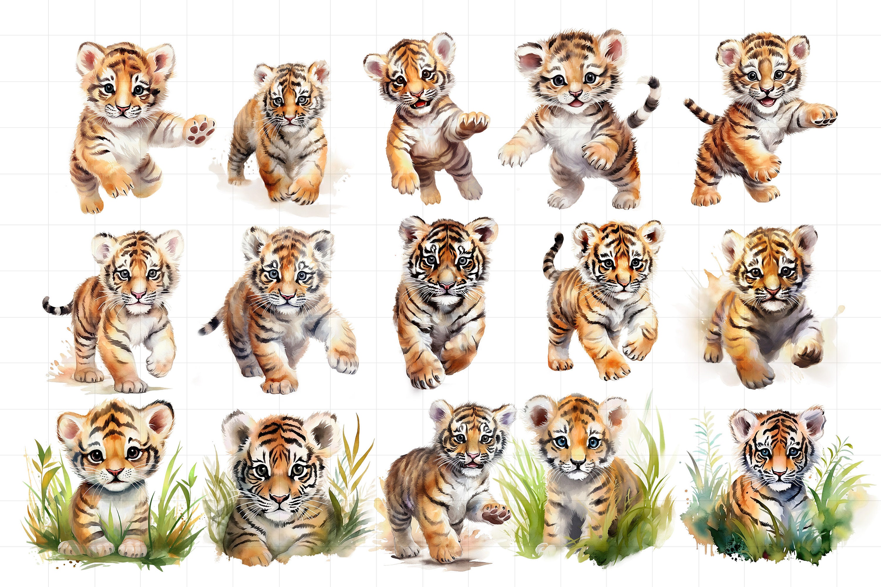 Playful Tigers Clipart PNG Safari Animal Watercolor - Etsy