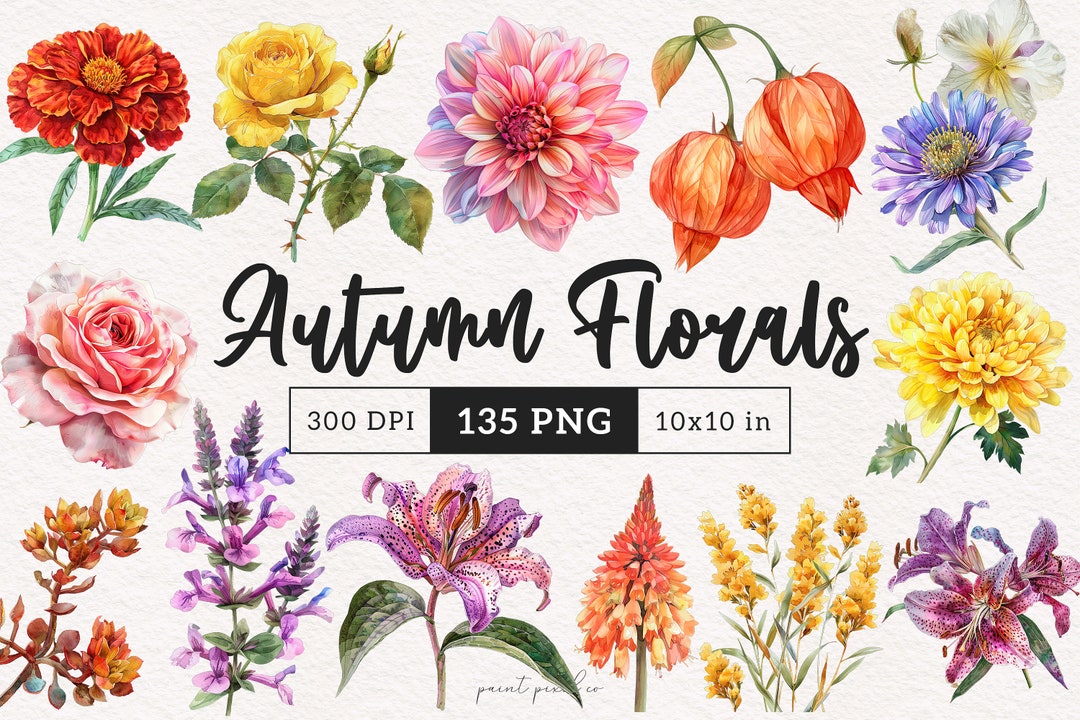 Autumn Flowers PNG Floral Clipart Watercolor Fall Flowers Dahlia ...