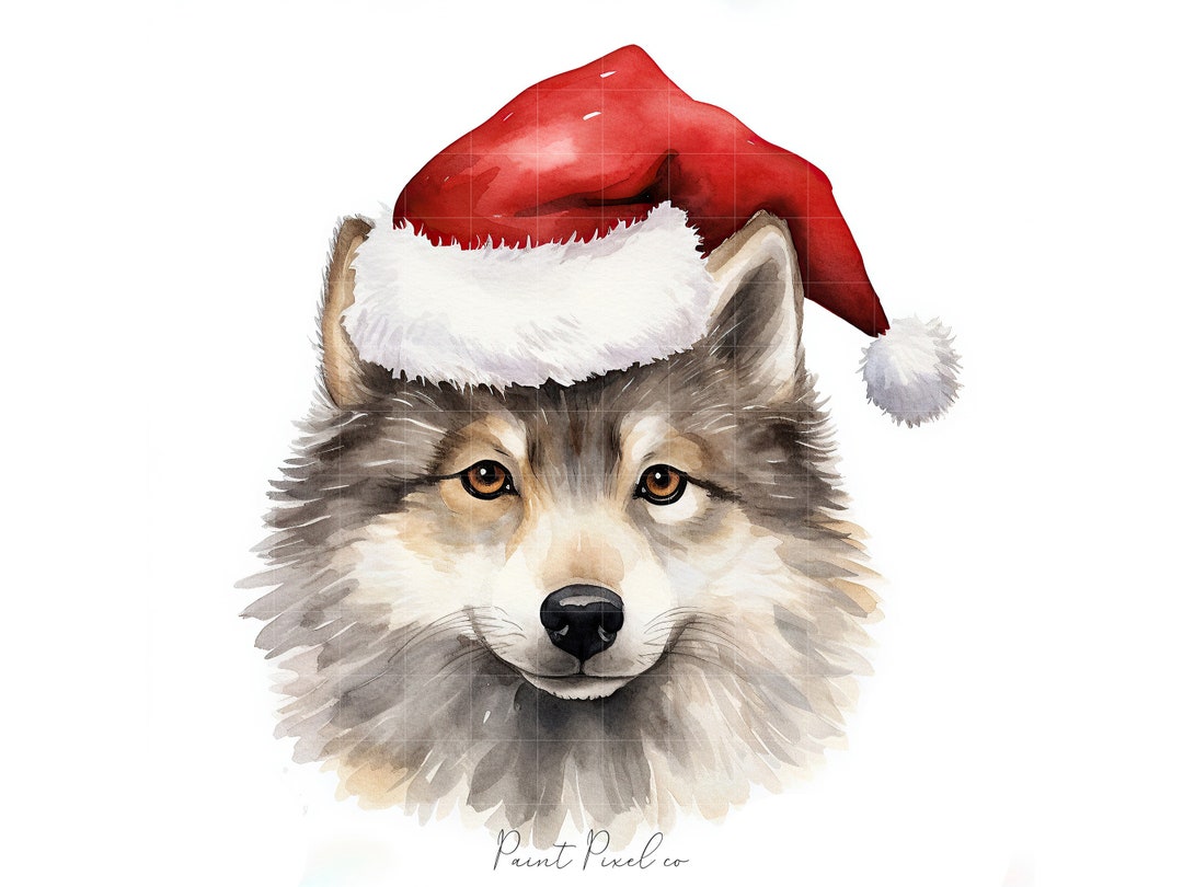 8 Christmas Wolf Clipart High Quality Jpgs Watercolor Holiday Wolf Clip ...