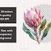 Flower Clipart Bundle Floral PNG Watercolor Summer Blooms Autumn Spring ...