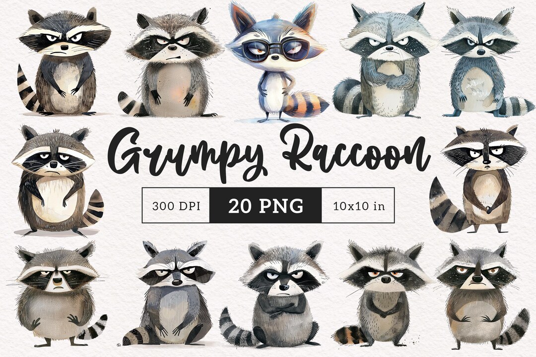 Grumpy Raccoon Clipart Whimsical PNG Angry Raccoon Woodland Sublimation ...