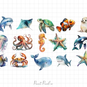 Animals PNG Bundle Safari Animals Farm Animals Woodland PNG Ocean Life ...