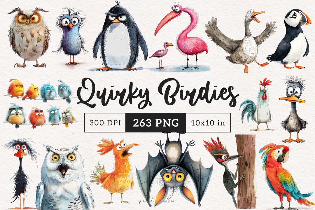 Quirky Birds Clipart Funny Woodland Birds PNG Farm Poultry ...