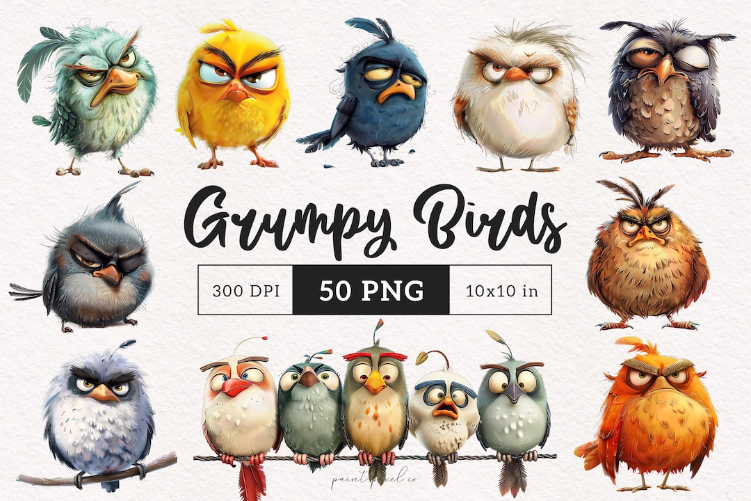 Grumpy Birds Clipart Funny Birds PNG Birds on a Wire Illustrations ...