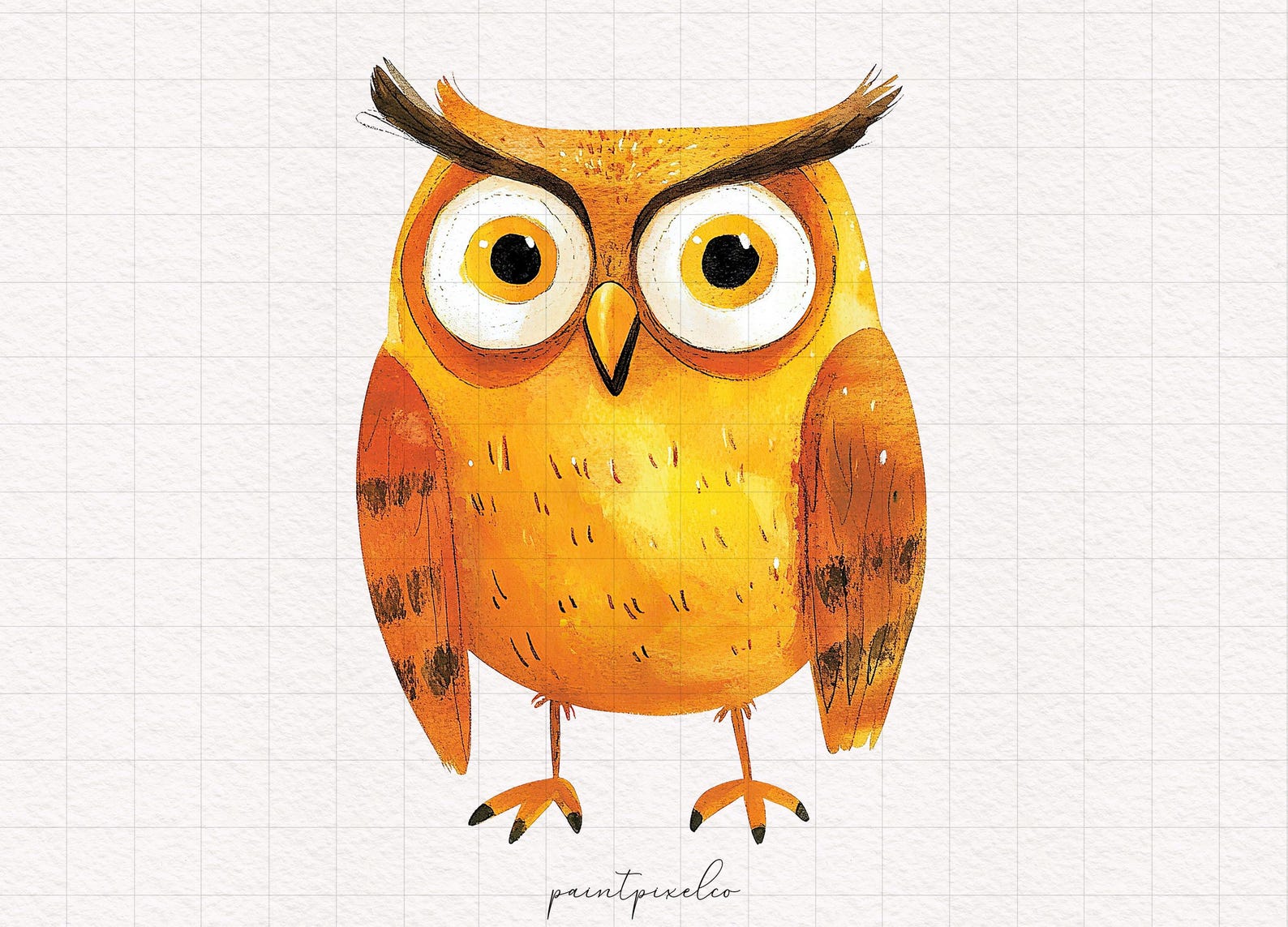 Quirky Owl Clipart Funny Birds PNG Whimsical Animals Clip Art Whimsy ...