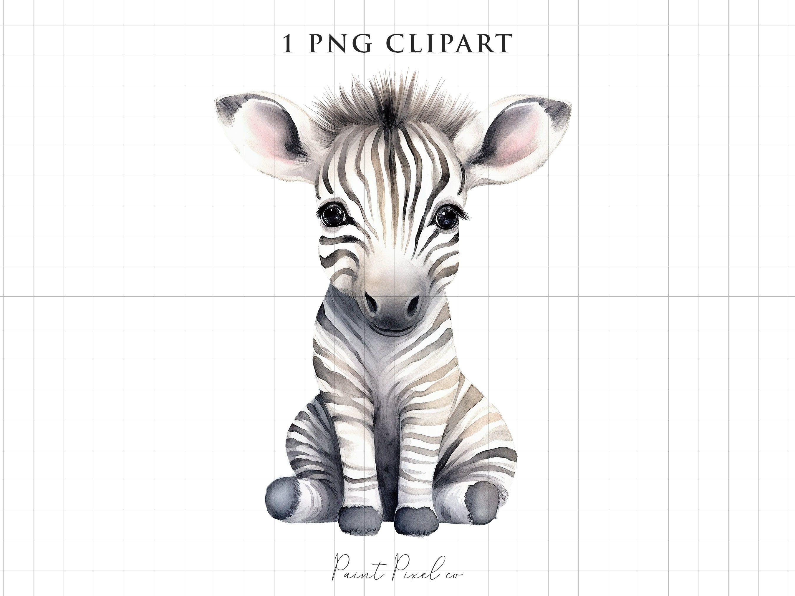 Baby Safari Animal Clipart Baby Zebra PNG Watercolor Jungle - Etsy