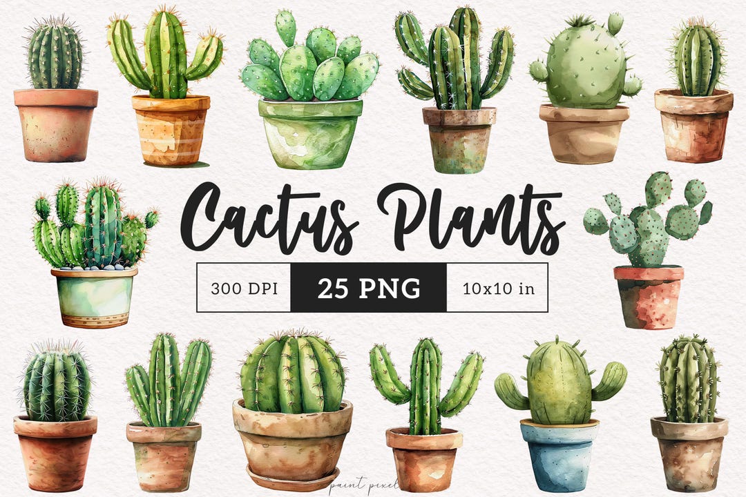 Cactus Plants PNG Watercolor Potted Cactus Cute Clipart Desert Plant ...