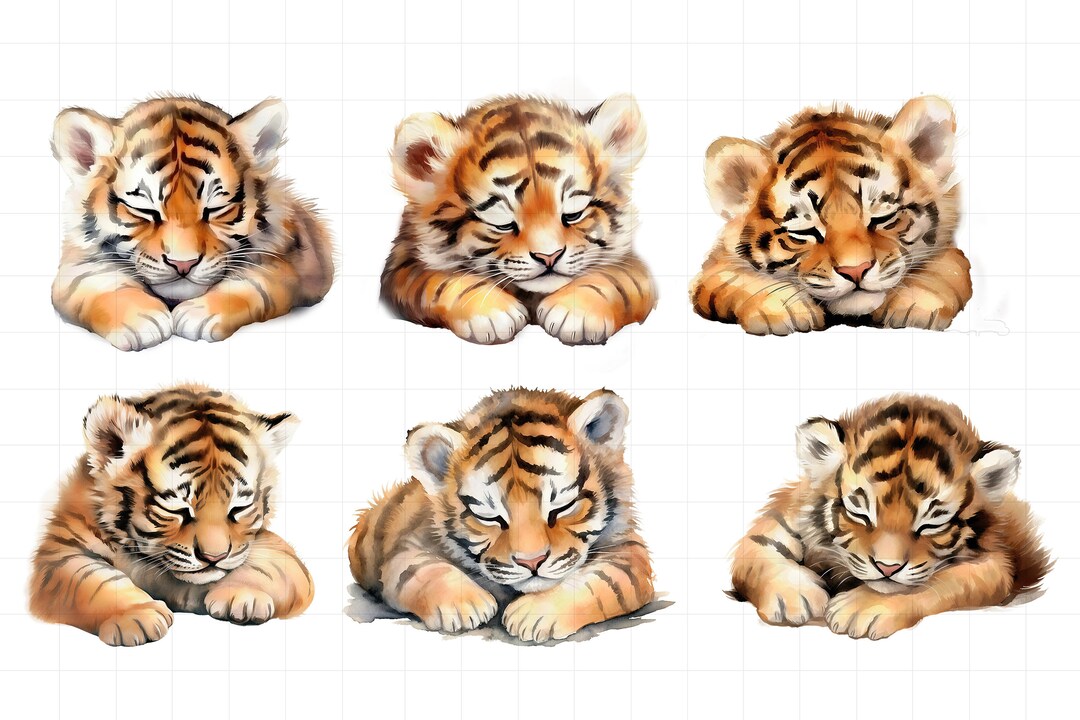 Baby Tiger Sleeping Clipart PNG Safari Animal Watercolor Sublimation ...