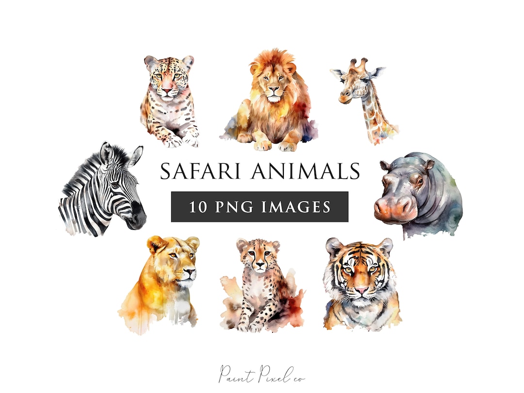 Safari Animals PNG Bundle Safari Baby Shower Clipart - Etsy