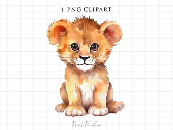 Baby Safari Clip Art Lion Safari Jungle Frames Clipart, Forest Frames