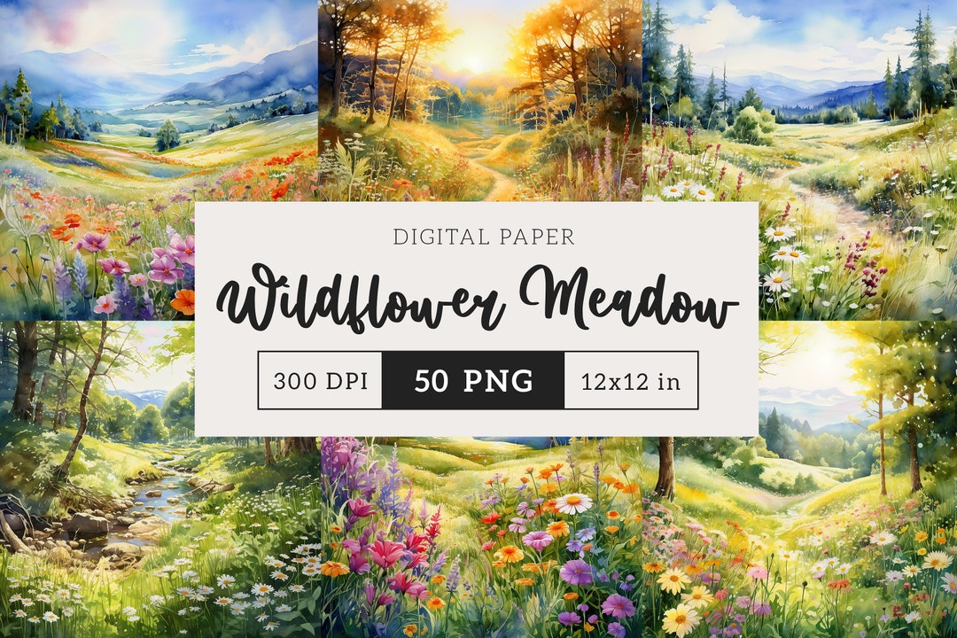Wildflower Meadow Digital Paper Set PNG Spring Summer Floral Landscape ...