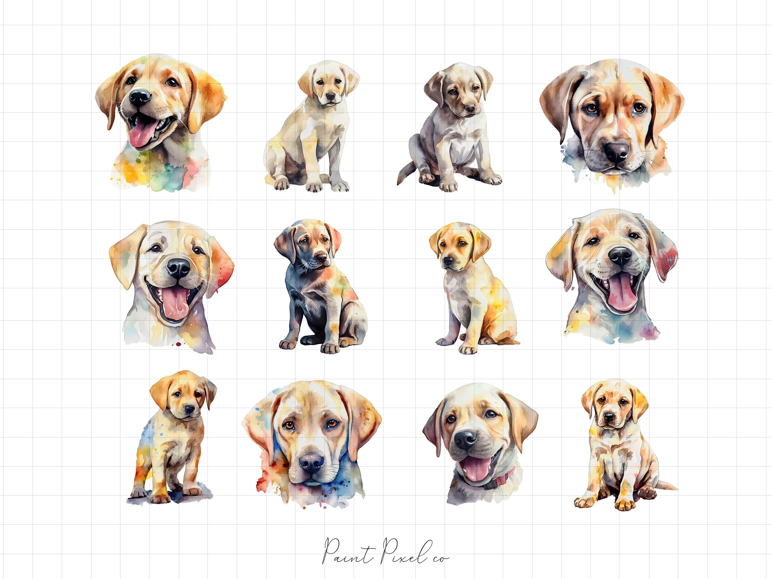 Dog Breeds Clipart PNG Watercolor Pup Clipart Puppy Pet Lover Clip Art ...