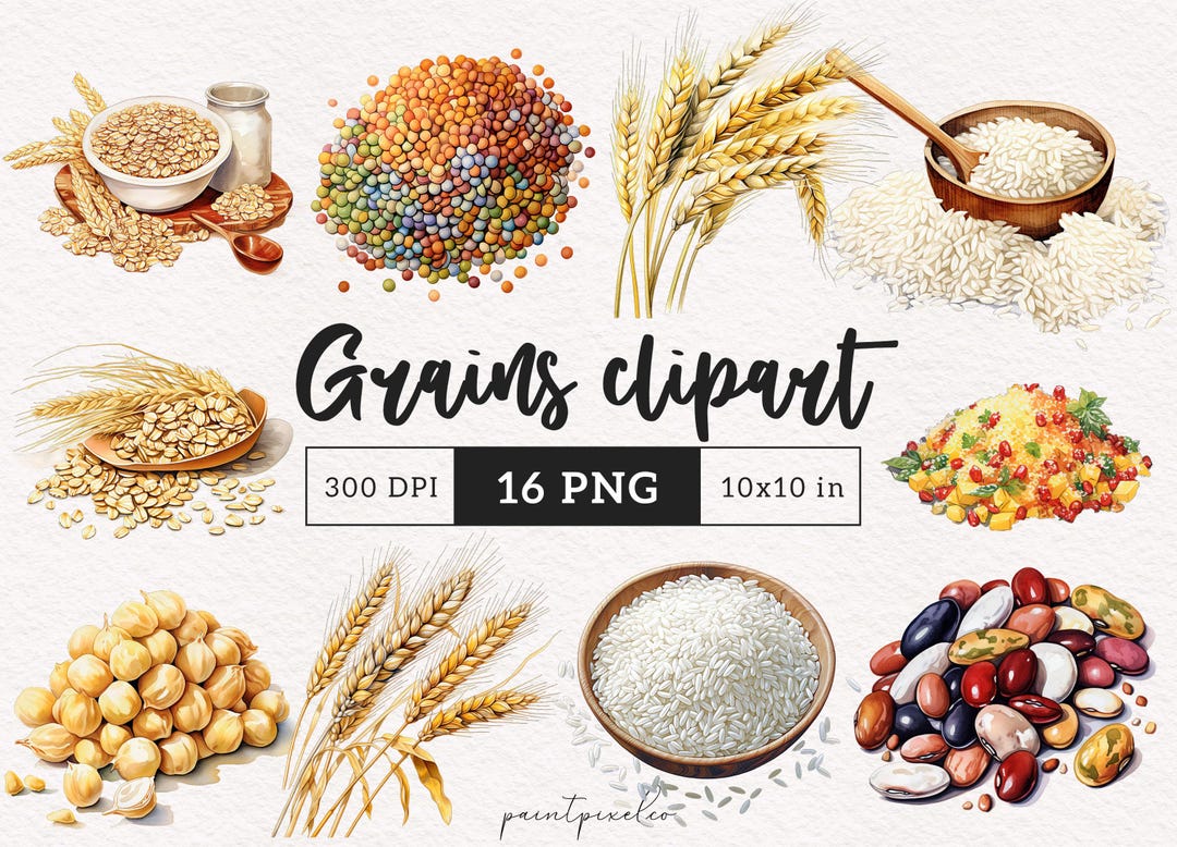 Grains Clipart Rustic Dry Harvest PNG Graphics Oats Lentils Rice ...