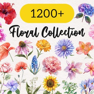 Flower Clipart Bundle Floral PNG Watercolor Summer Blooms Autumn Spring ...