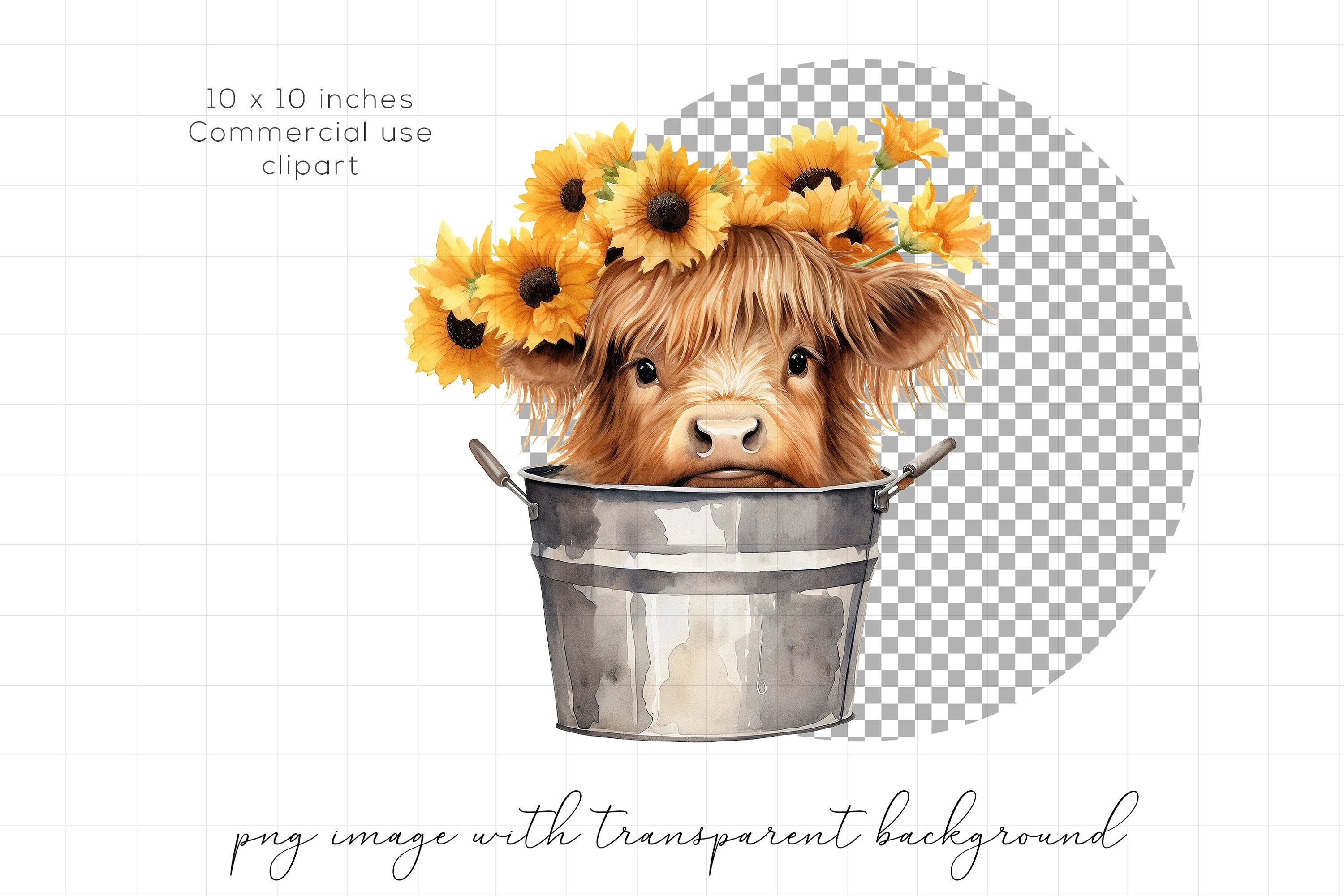 Highland Cow in Bucket PNG Clipart Western Farm Animals Clip Art Baby ...