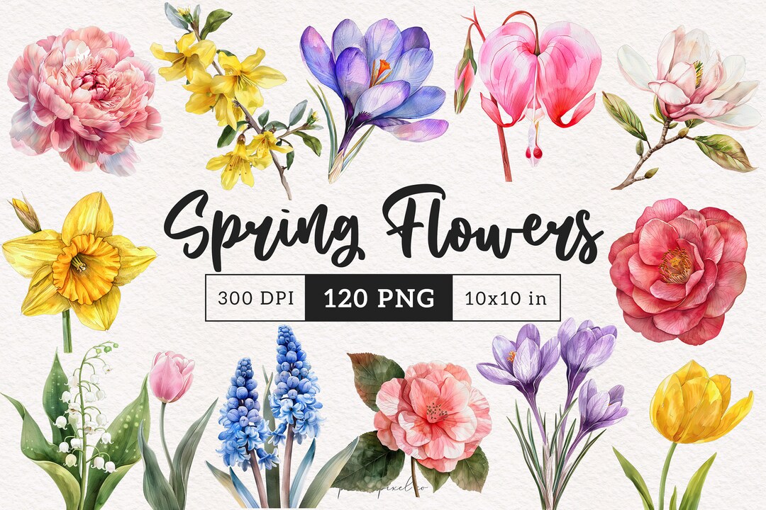 Spring Flowers Clipart Seasonal Floral PNG Watercolor Spring Tulip ...