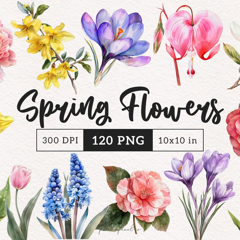 Seasonal Spring Flowers - Etsy UK