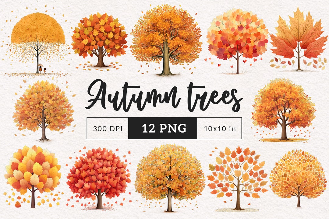 Autumn Trees Clipart Boho Tree PNG Scrapbook Watercolor Fall Foliage ...