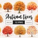 Autumn Trees Clipart Boho Tree PNG Scrapbook Watercolor Fall Foliage ...