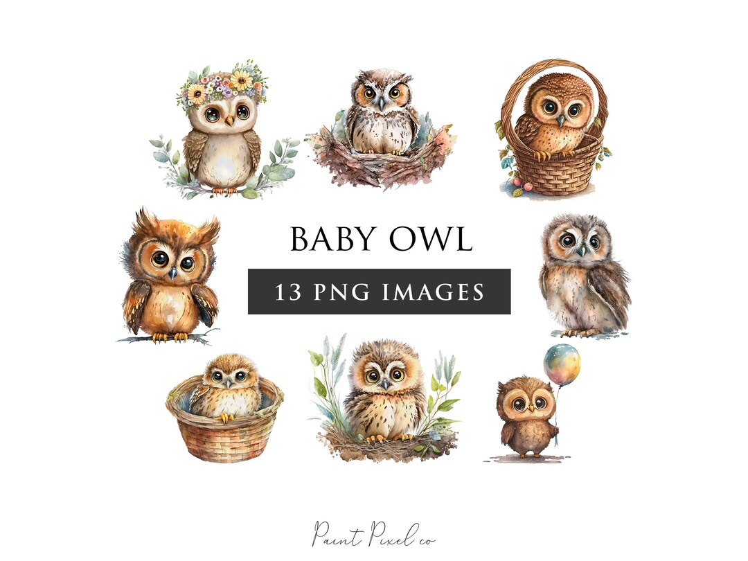 Woodland Animals PNG Watercolor Baby Owl Clipart Cute Baby - Etsy