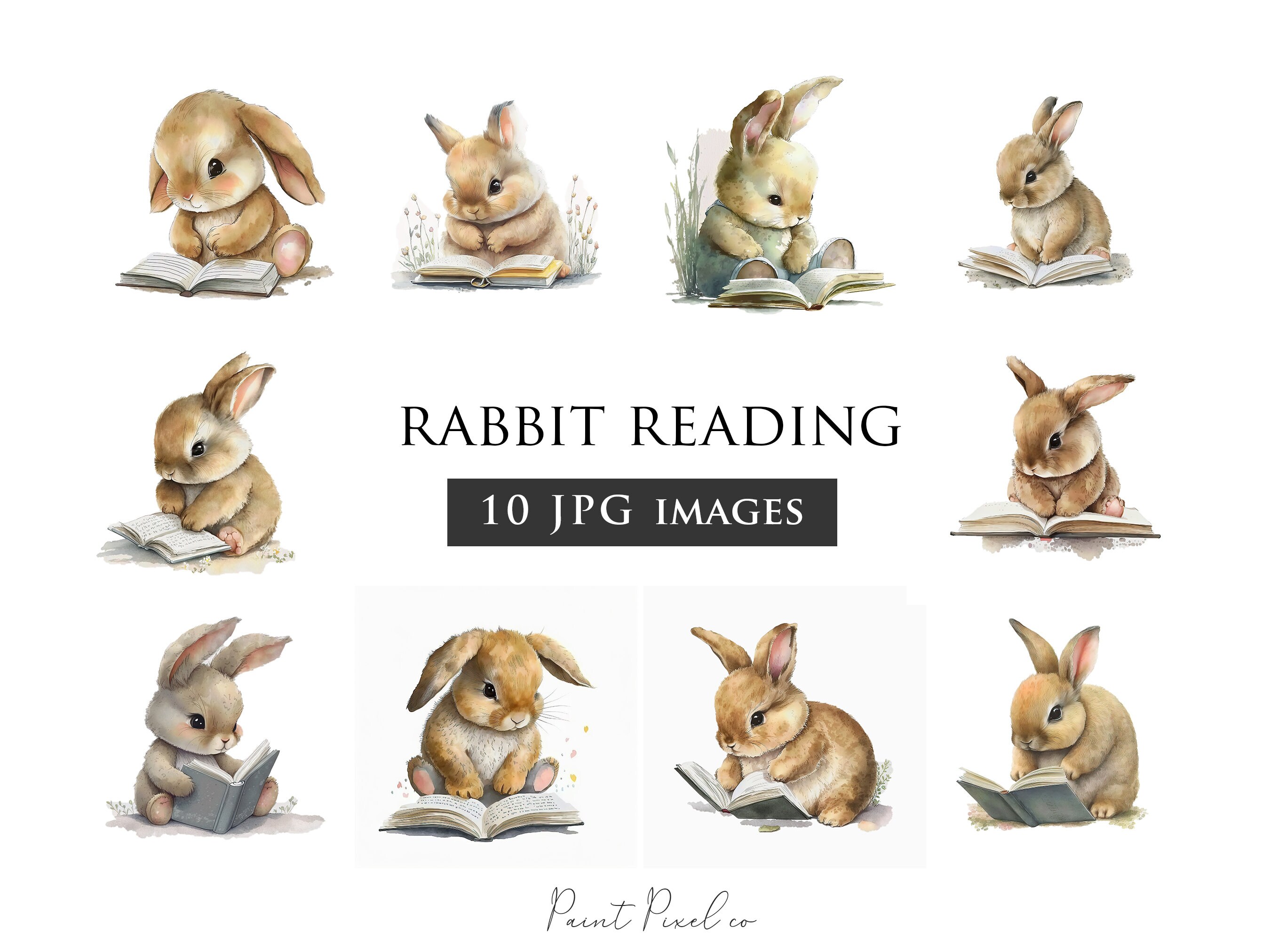 10 Bunny Clipart Rabbit Easter Clipart Reading High Quality - Etsy