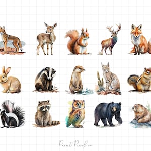 Forest Animals PNG Woodland Animals Clipart Bear Fox Coyote PNG Jungle ...