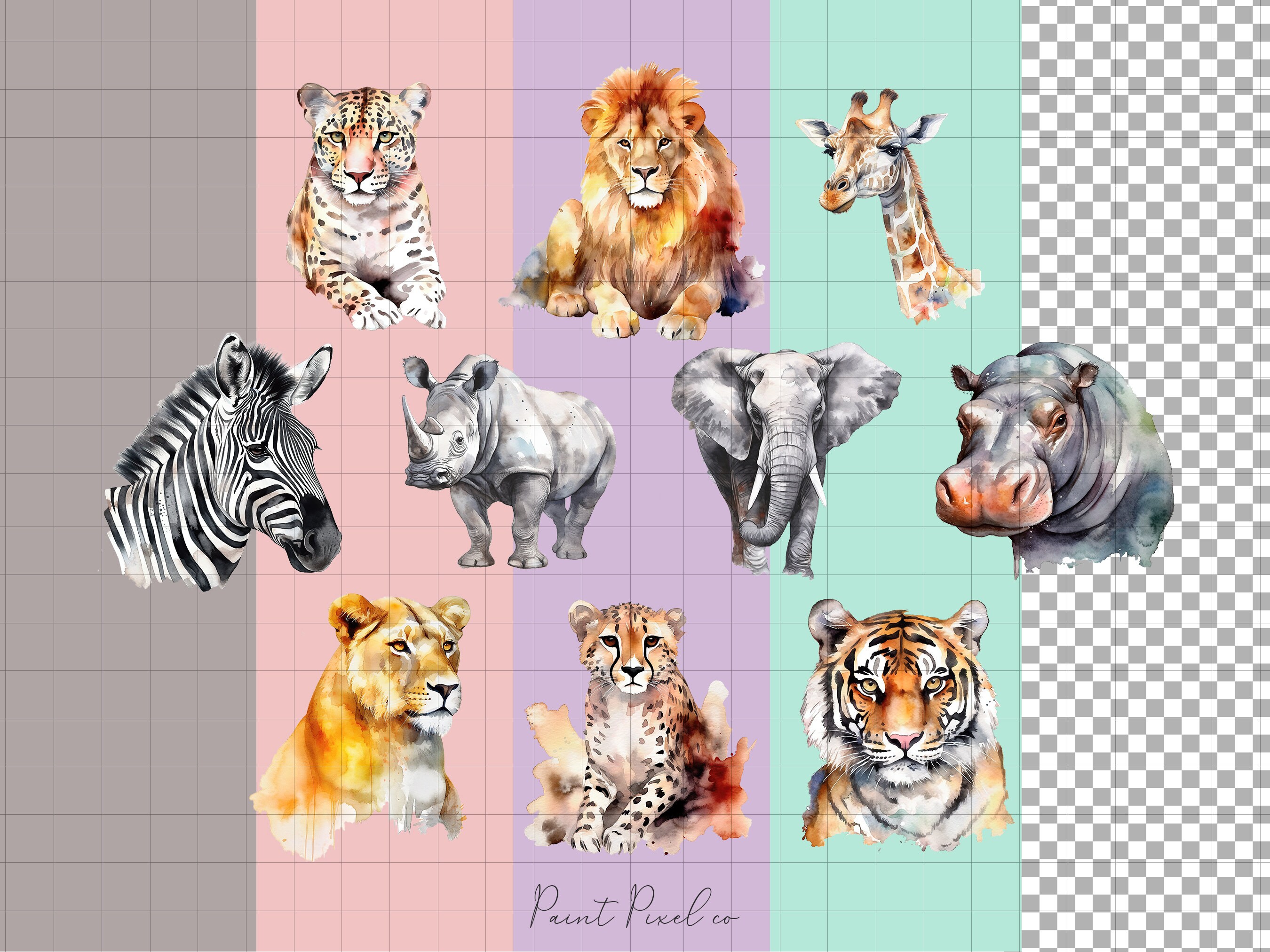 Safari Animals PNG Bundle Safari Baby Shower Clipart - Etsy