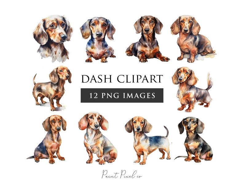 Dachshund Dog Clipart PNG Watercolor Dogs Clipart Puppy PNG Pet Clipart ...