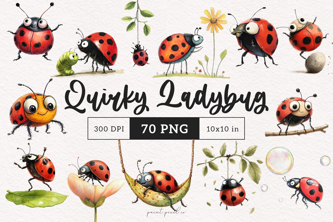 Quirky Ladybug Clipart Lady Bug PNG Whimsical Ladybug Sublimation Clip ...
