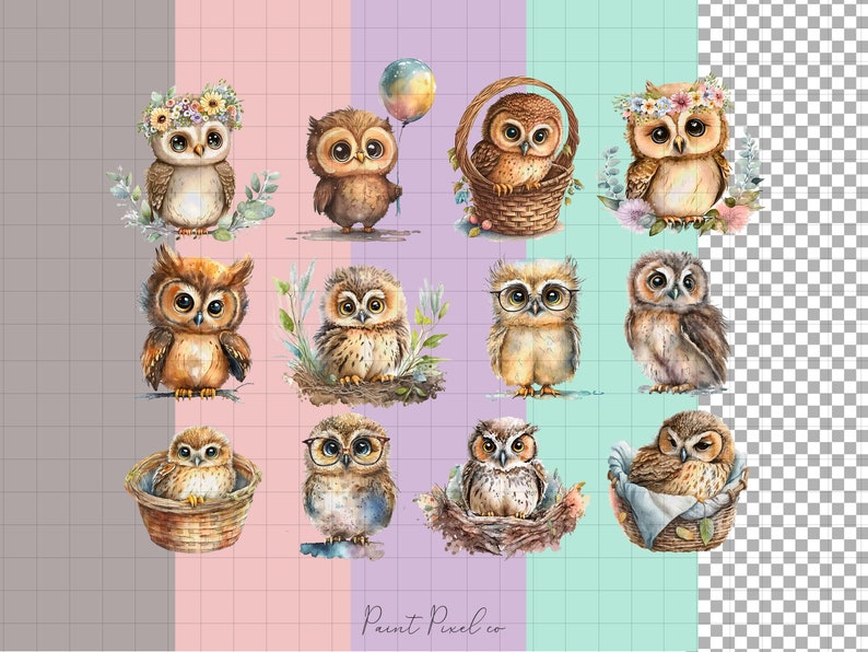 Woodland Animals PNG Watercolor Baby Owl Clipart Cute Baby - Etsy