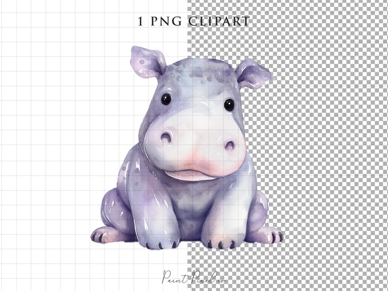 Baby Safari Animal Clipart Baby Hippo PNG Watercolor Jungle Animals ...