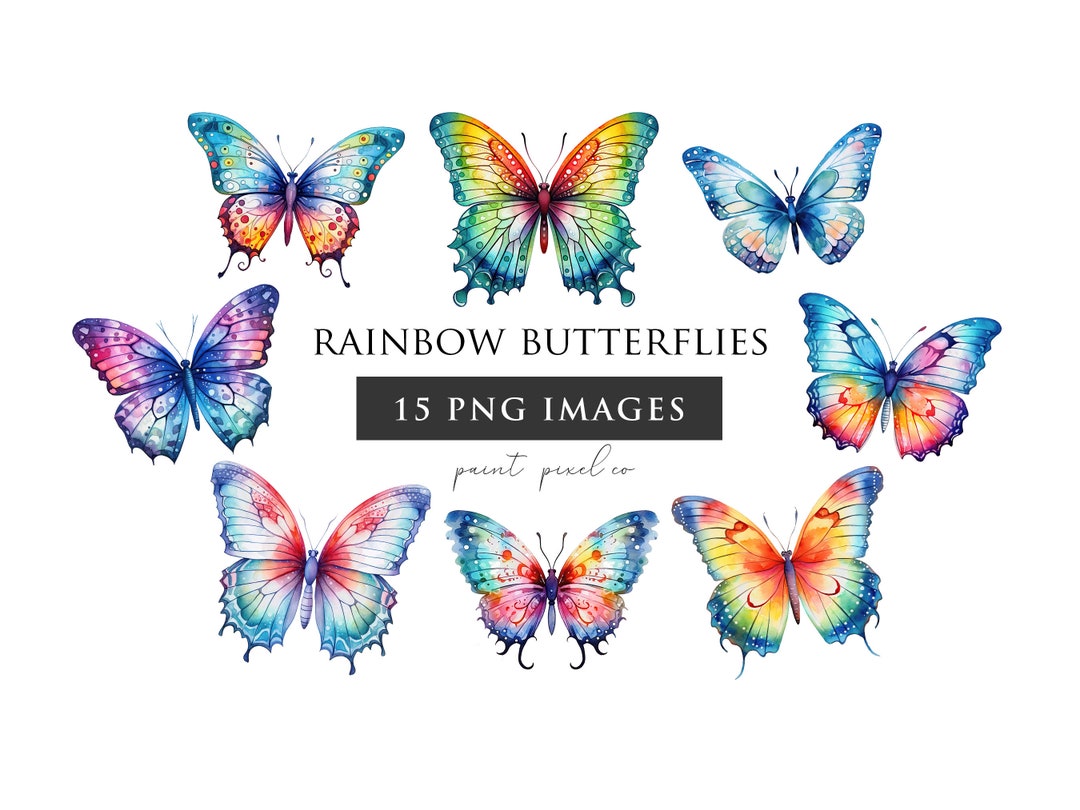 Rainbow Butterfly PNG Butterflies Clipart Colorful Butterfly - Etsy
