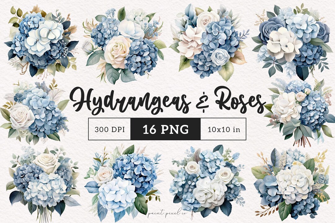 16 Blue Hydrangea and White Roses Clipart Watercolor Flowers PNG ...