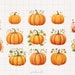 Autumn Pumpkin Clipart Boho Fall Pumpkins PNG Watercolor Cozy Fall ...
