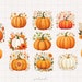 Autumn Pumpkin Clipart Boho Fall Pumpkins PNG Watercolor Cozy Fall ...