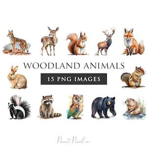 Forest Animals PNG Woodland Animals Clipart Bear Fox Coyote PNG Jungle ...