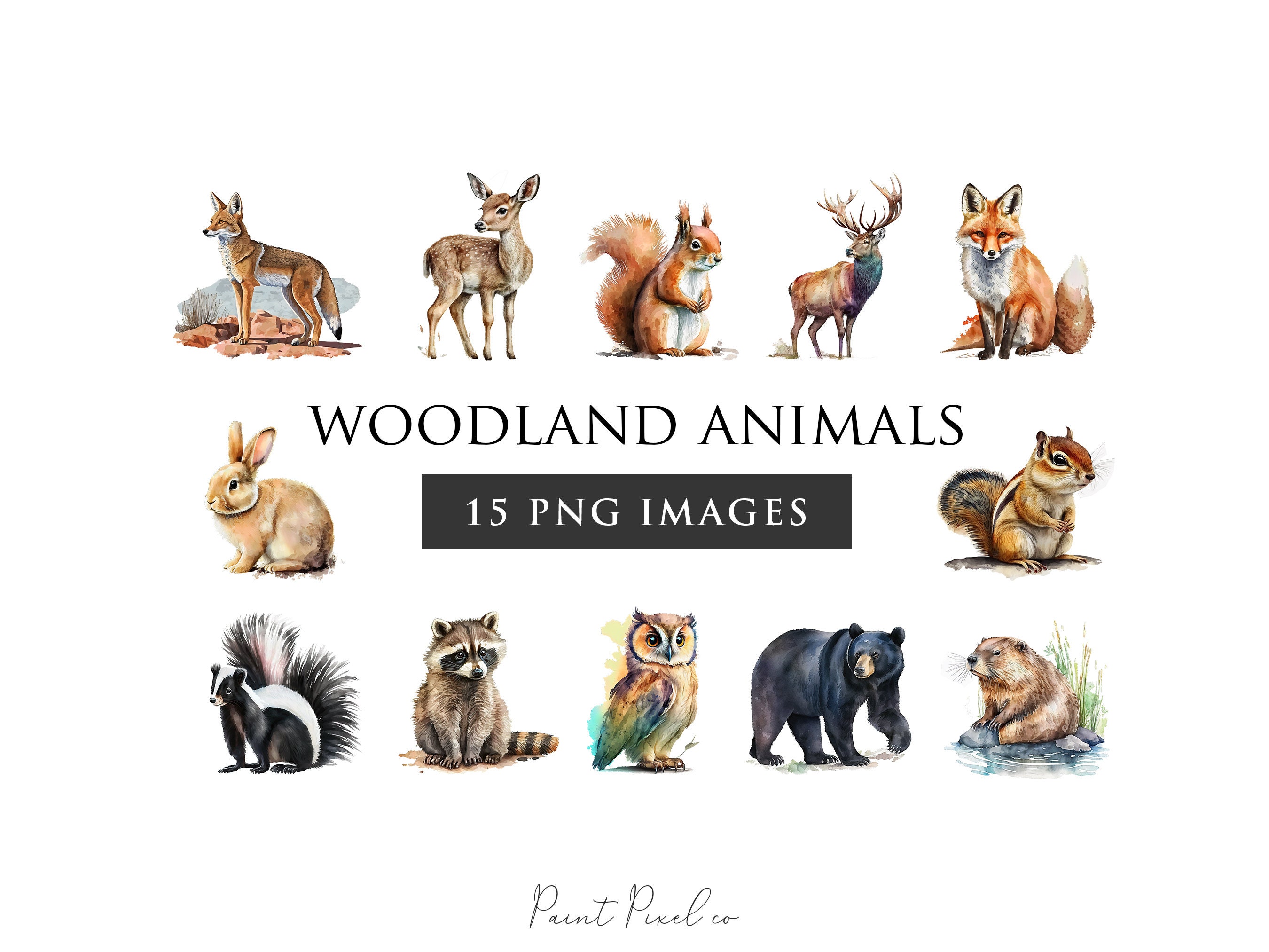 Forest Animals PNG Woodland Animals Clipart Bear Fox Coyote - Etsy