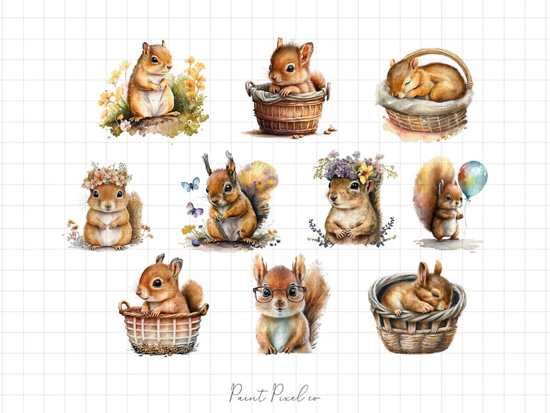 75 Woodland Animals PNG Watercolor Baby Animals Clipart Baby - Etsy