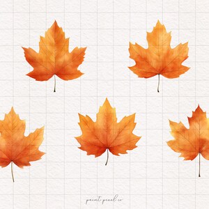 10 Autumn Leaves Clipart Boho Leaf Scenery PNG Watercolor Maple ...