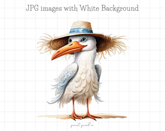 Quirky Seagull Watercolor Clipart | Playful Seagull Art | Seagull ...