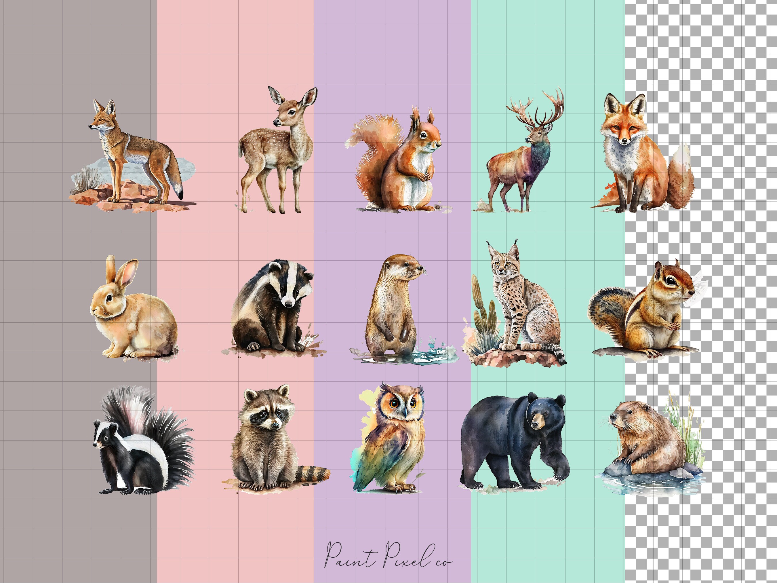 Forest Animals PNG Woodland Animals Clipart Bear Fox Coyote PNG Jungle ...