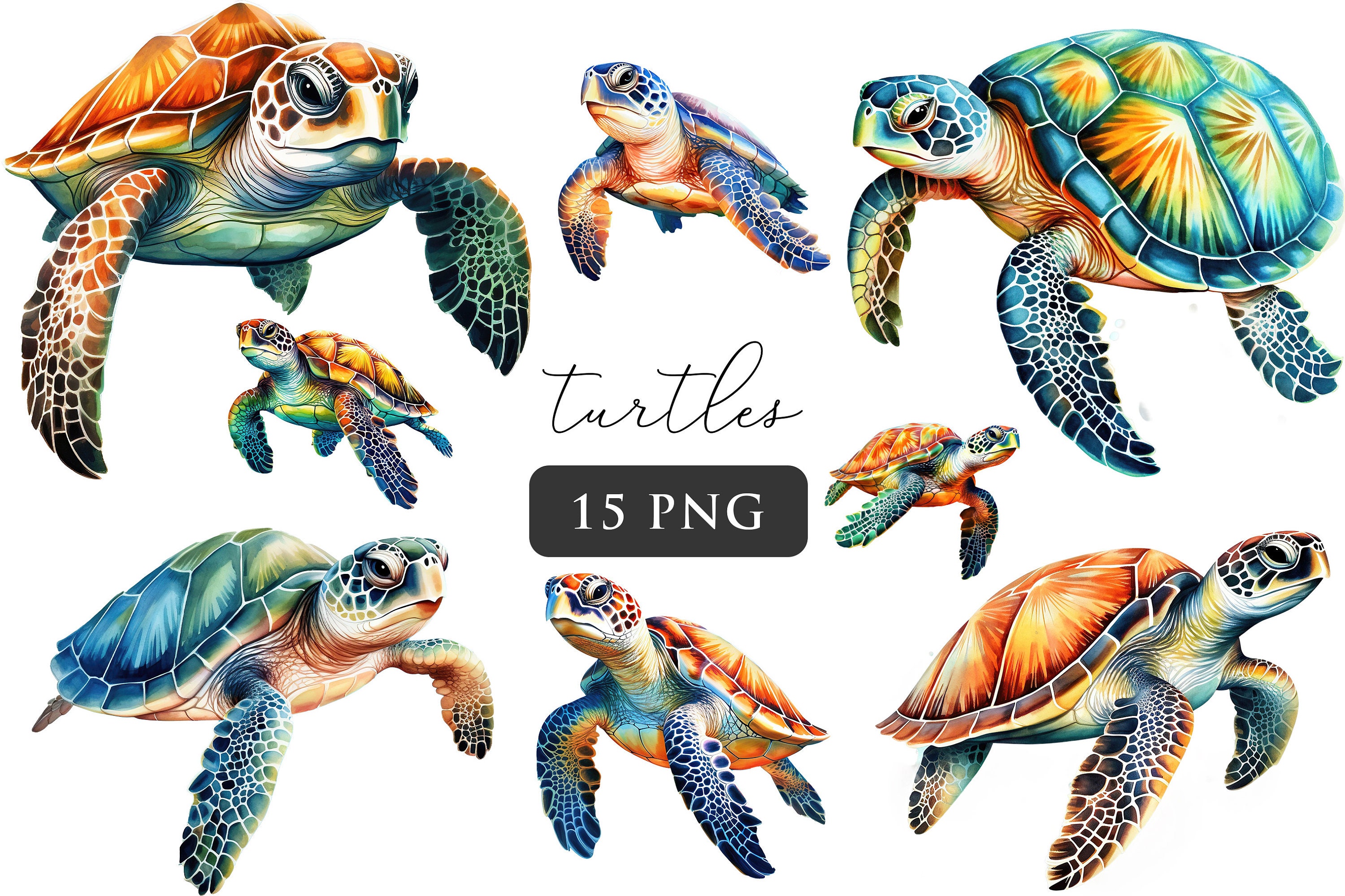 Sea Turtle PNG Clipart Watercolor Cute Nautical Animals Illustration ...