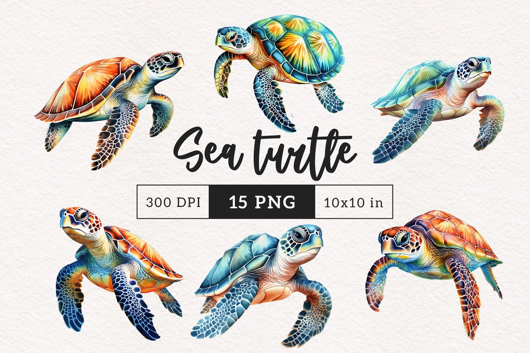 Sea Turtle PNG Clipart Watercolor Cute Nautical Animals Illustration ...