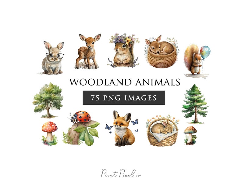 75 Woodland Animals PNG Watercolor Baby Animals Clipart Baby - Etsy