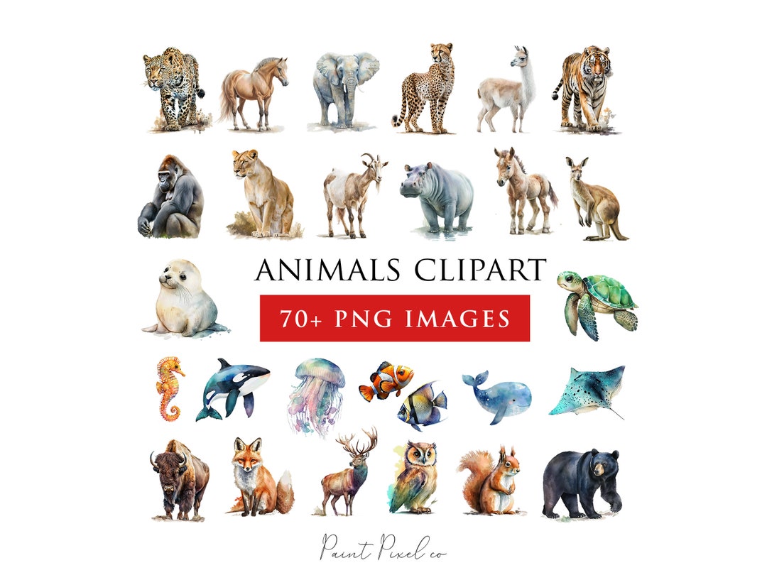 Animals PNG Bundle Safari Animals Farm Animals Woodland PNG - Etsy
