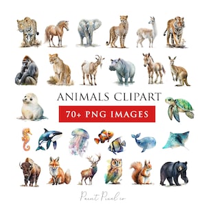 Animals PNG Bundle Safari Animals Farm Animals Woodland PNG Ocean Life ...