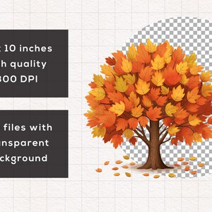 Autumn Trees Clipart Boho Tree PNG Scrapbook Watercolor Fall Foliage ...