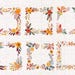 Autumn Border Clipart Boho Orange Flowers PNG Watercolor Fall Floral ...