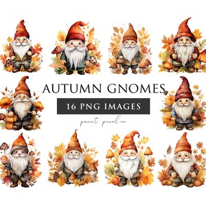 Autumn Gnomes PNG Gnome Clipart Watercolor Fall Fantasy - Etsy