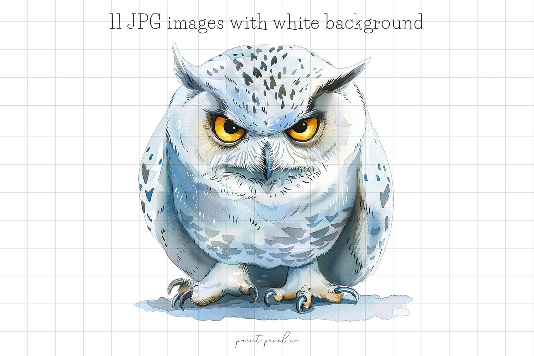 11 Quirky Snowy Owl JPG Clipart Funny Silly Polar Birds JPG Whimsical ...